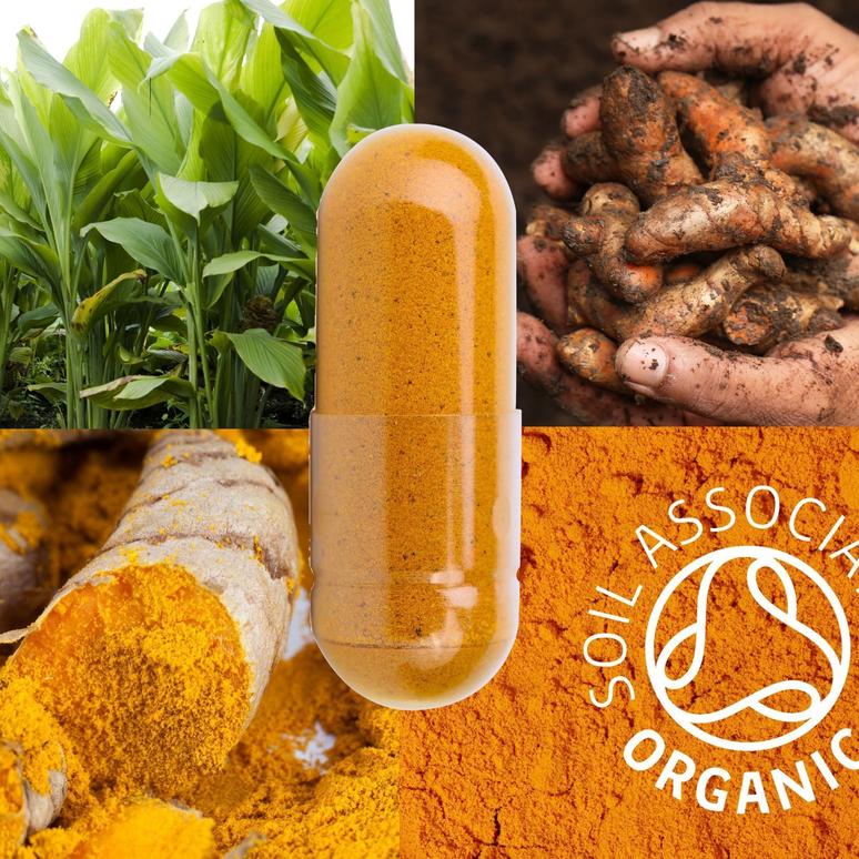 Organic Turmeric Capsules | Turmeric Capsules with Black Pepper