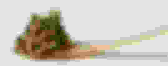 What Color Is Caviar? Unveiling the Enigma of Tones and Hue – Sterling ...