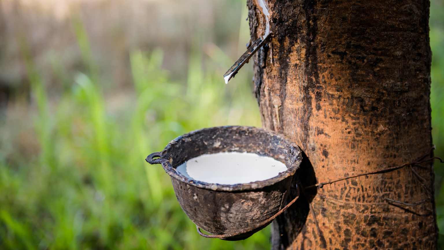 The Best Ways to Stay Hydrated in the Wild – Survivor Filter