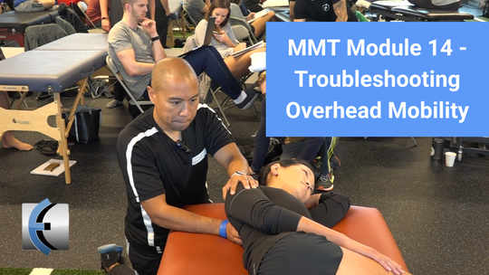 Modern Manual Therapy: The Eclectic Approach to UQ and LQ Assessment a