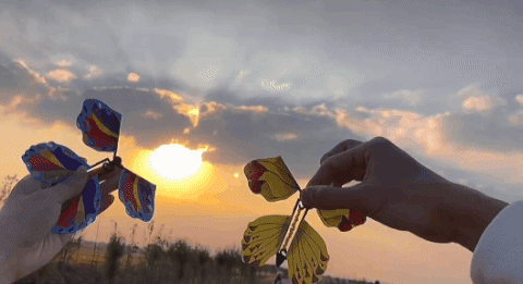 Monarch FlutterFlyers I Package of 5 Single Color#N##N#– Flutter Flyers