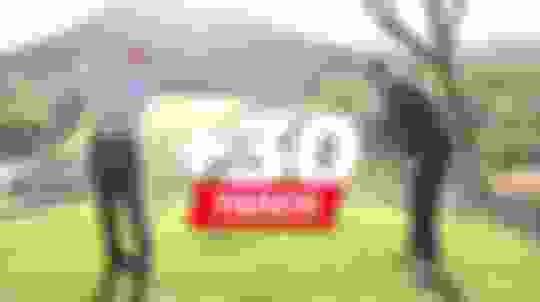 Vertical Line Swing Stacker