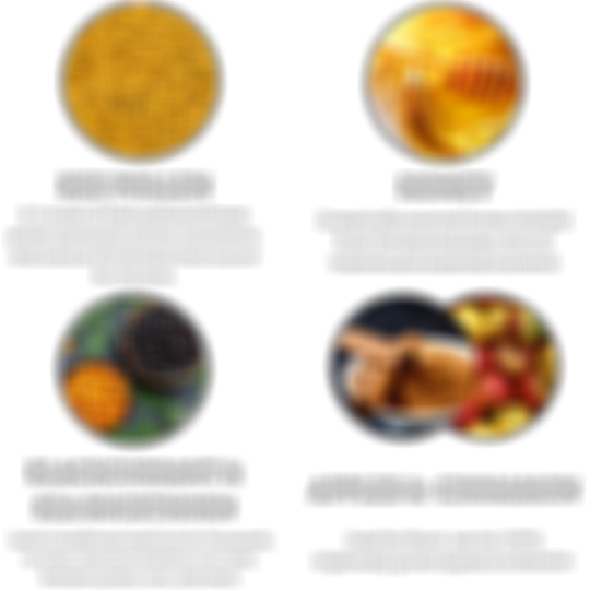 The Spartan Bee Bread – Stampede Network