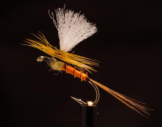 10 Fly Patterns For Trout – Togens Fly Shop