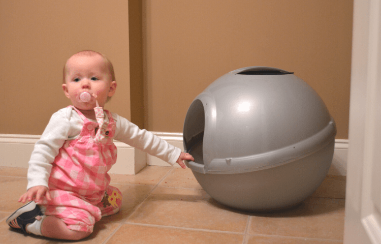 Why You Should Babyproof Your Cat's Litter Box – Door Buddy