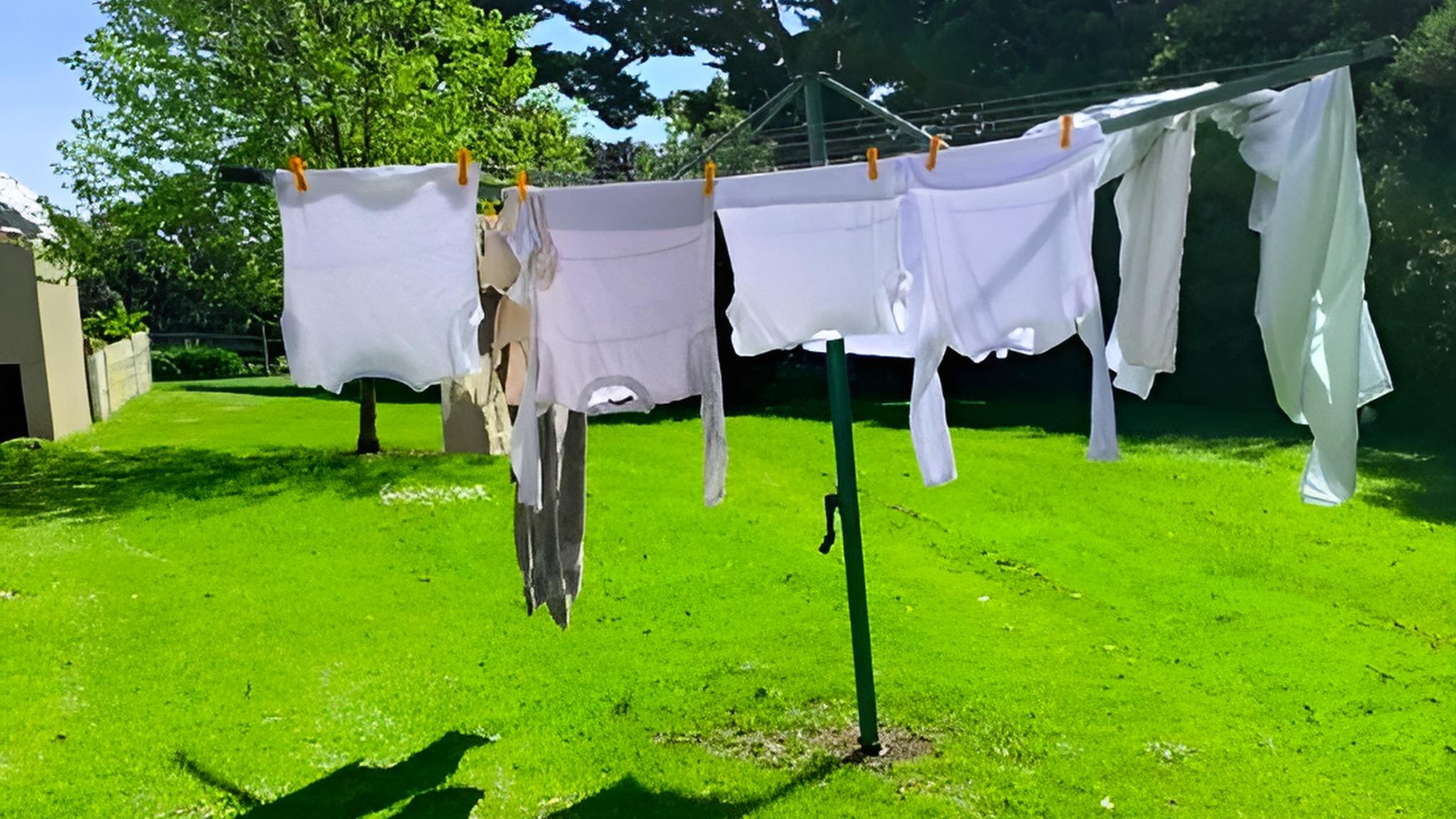 8 Must-Have Fold Away Clothesline Models in Australia – Lifestyle ...