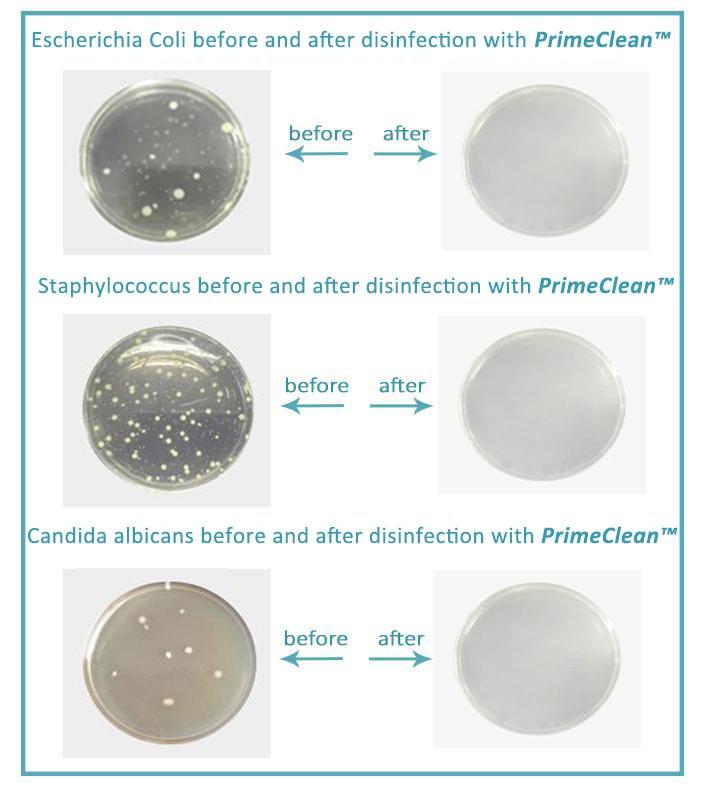 PrimeClean CPAP cleaner