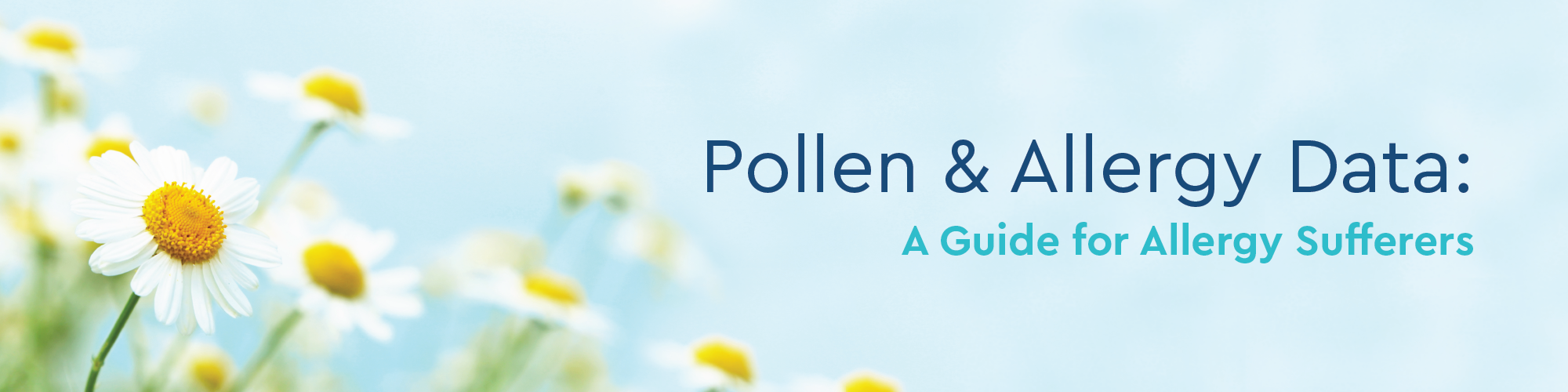 Pollen & Allergy Data: A Guide for Allergy Sufferers