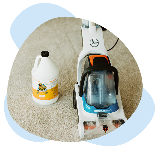 Weekly Special - FurryFreshness Premium Stain and Smell Remover