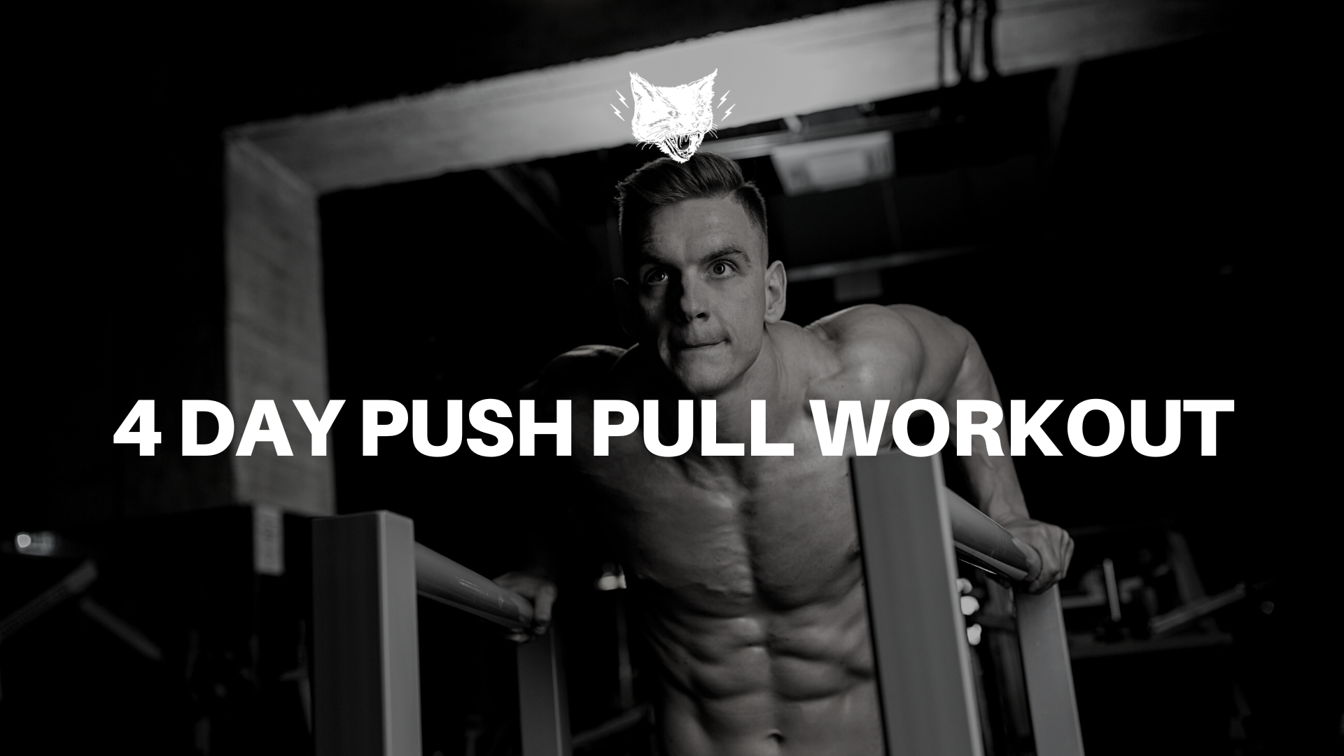 4 Day Push Pull Workout – Black Magic Supply