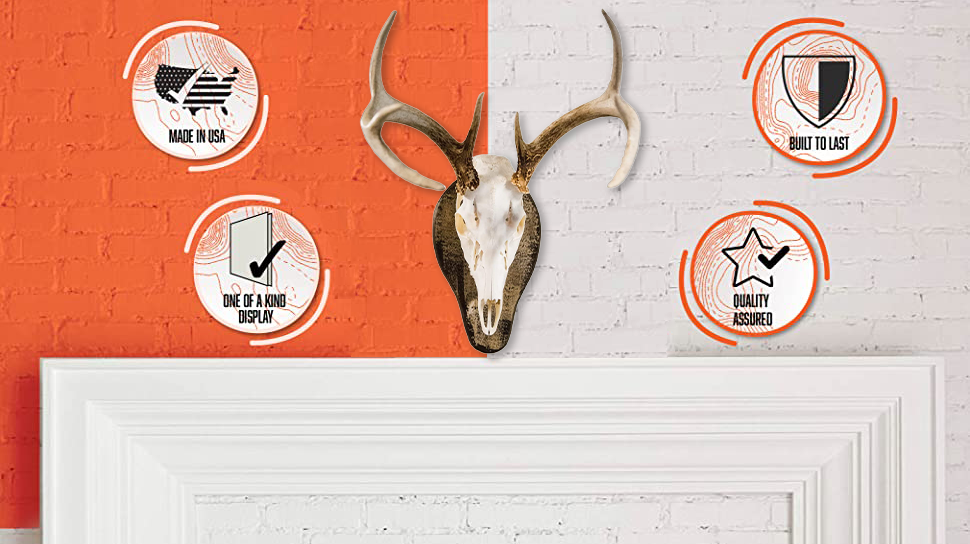 European Mounts – Outdoor Hunting Lab