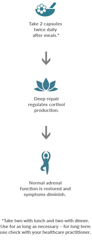 Serinisol for Stress & Insomnia — Women's Health Network