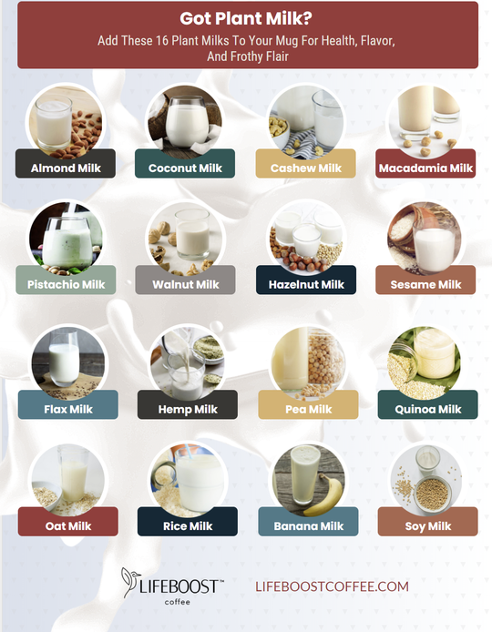 16 Plant Milks To Your Mug For Health, Flavor, And Frothy Flair ...