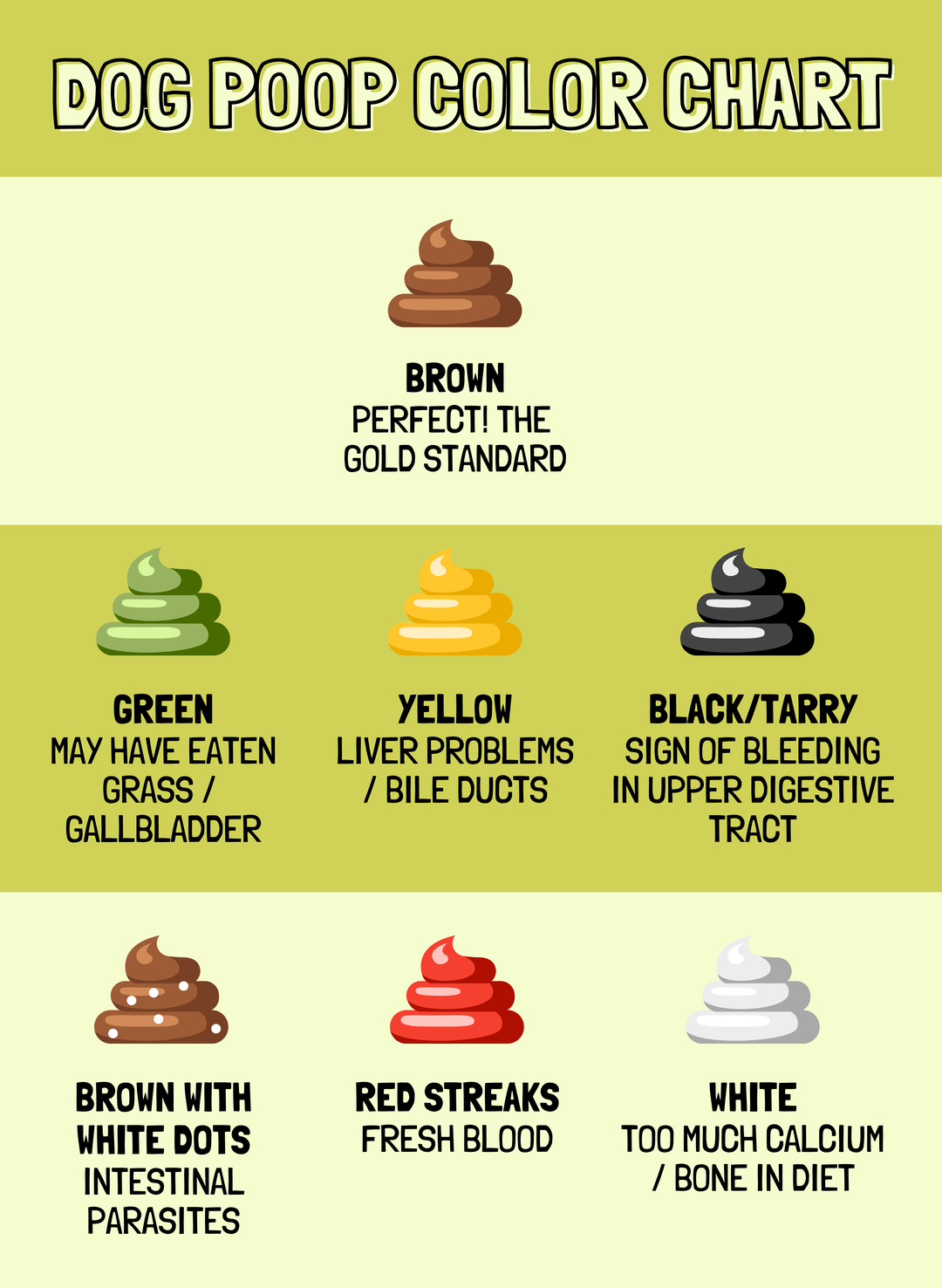Your Dog’s Poop: What It Can Tell You About Their Health and Well-Bein ...