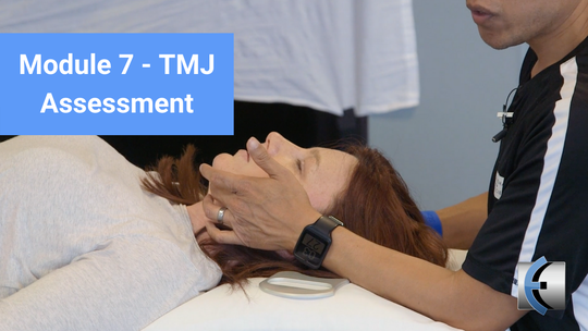Modern Manual Therapy: The Eclectic Approach to Temporomandibular Mana ...