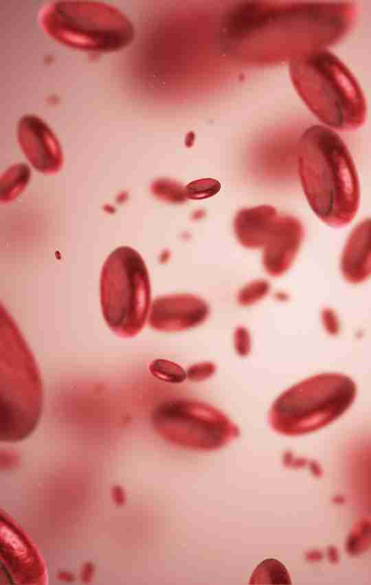 Anemija - simptomi i liječenje