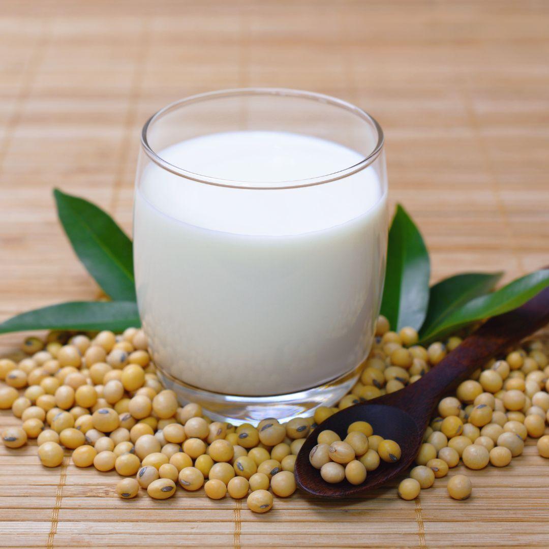 Can Dogs Drink Milk? | Potty Buddy - Potty Buddy™