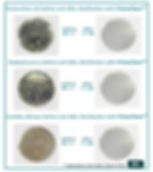 New Upgraded PrimeClean® CPAP Cleaner (N105)