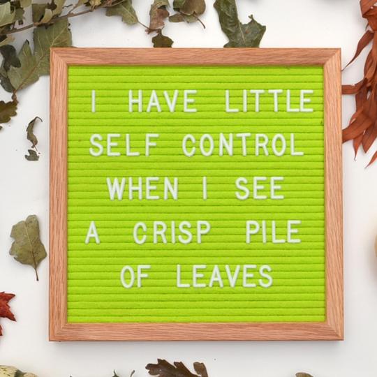 Premium Kiwi Green Felt Letter Board - 10x10 Inches