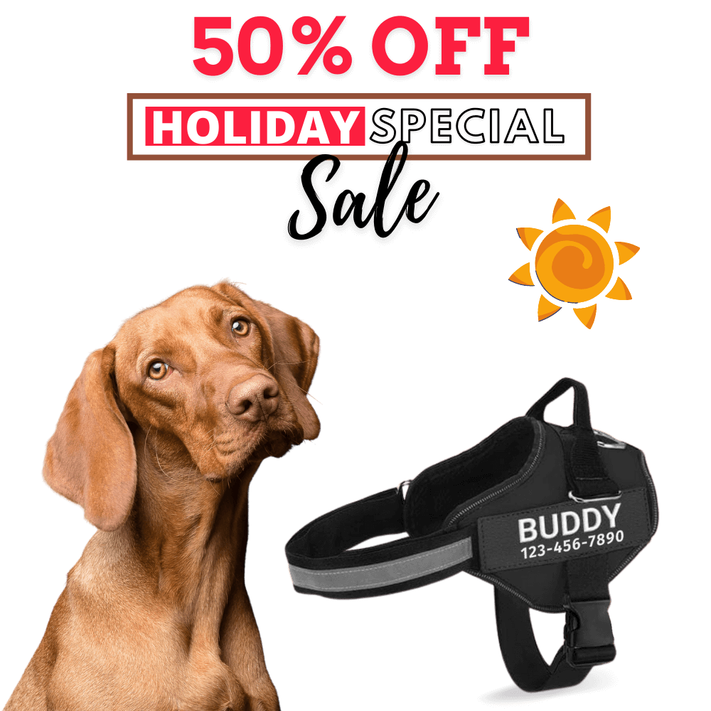 TrueHarness™ - The Personalized No-Pull Dog Harness