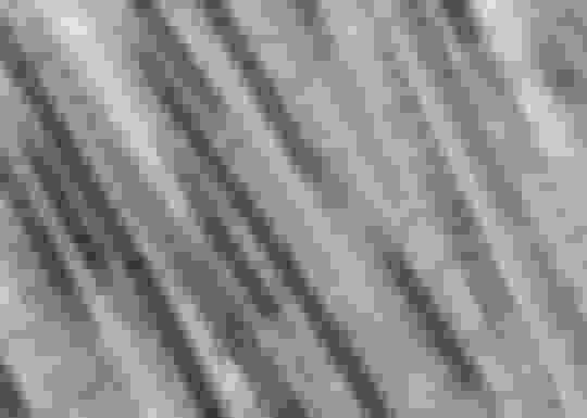 The Definitive Guide to Collagen Synthesis: What It Is, Why It Matters