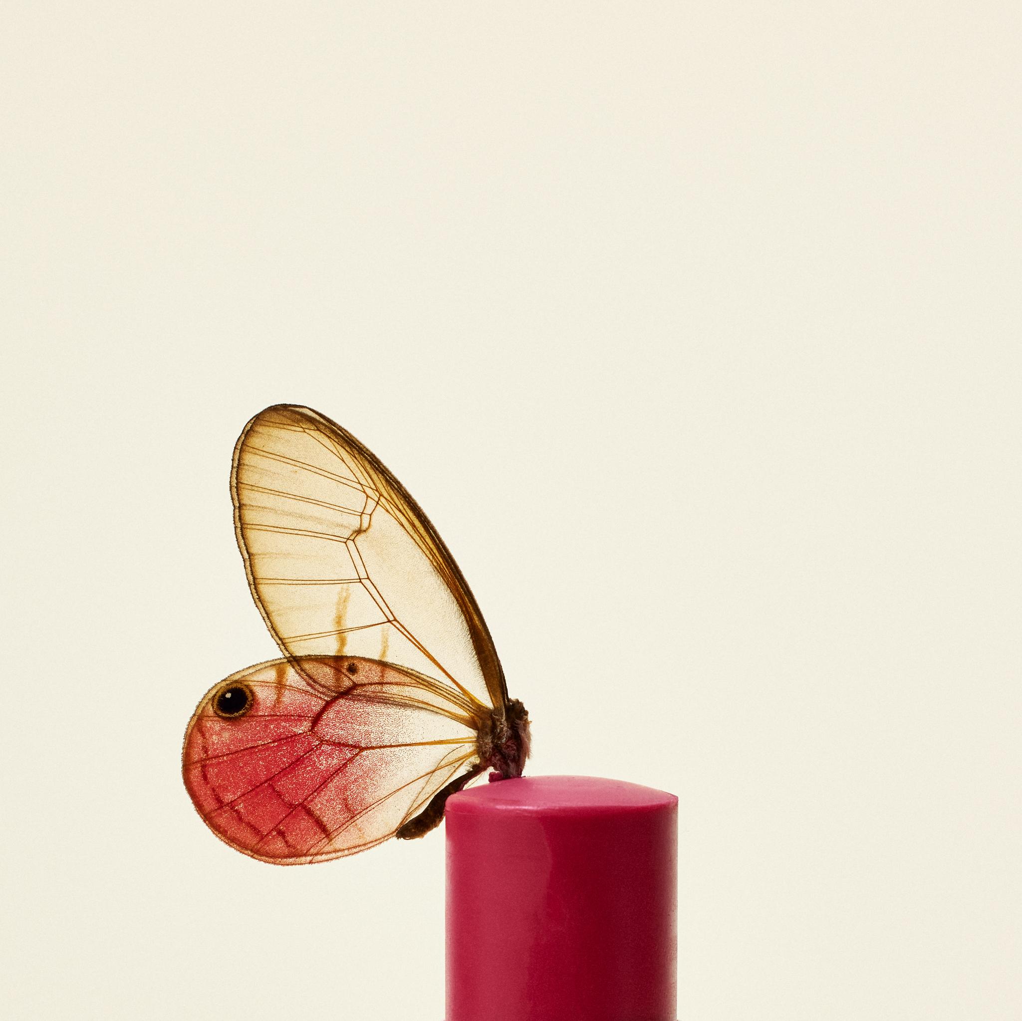 New Boomsticks For Summer: Peony Pink and Golden Peach | BOOM! Beauty ...