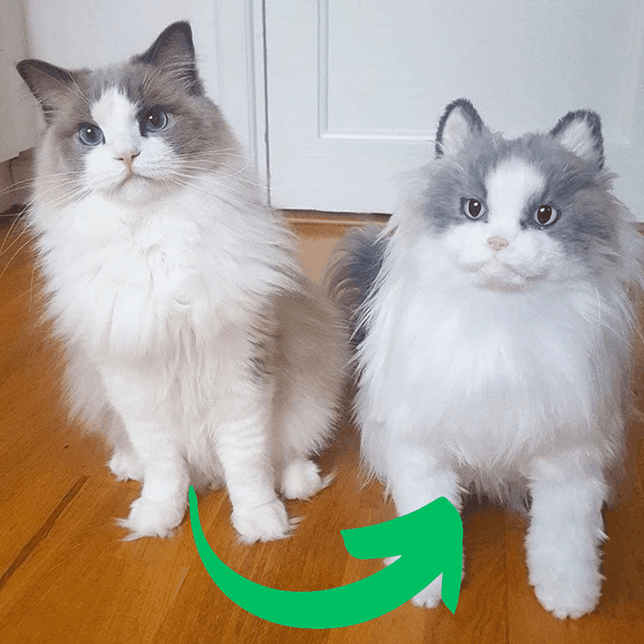 Custom Stuffed Animal of Your Pet | Handmade Pet Plush Replica