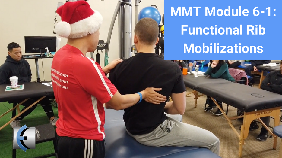 Modern Manual Therapy: The Eclectic Approach to UQ and LQ Assessment a