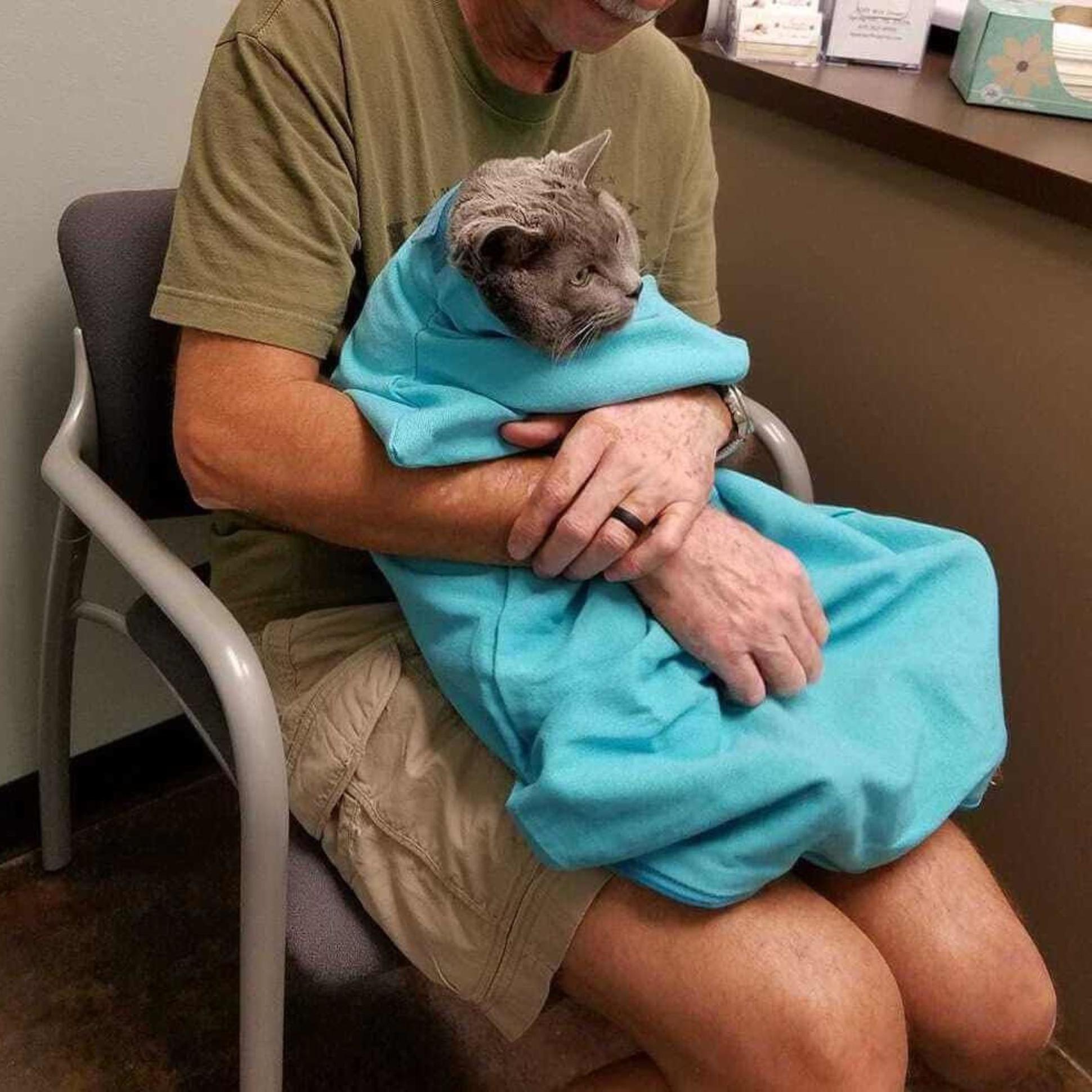 Buy One And Get One FREE: Cat Carrier Pouch