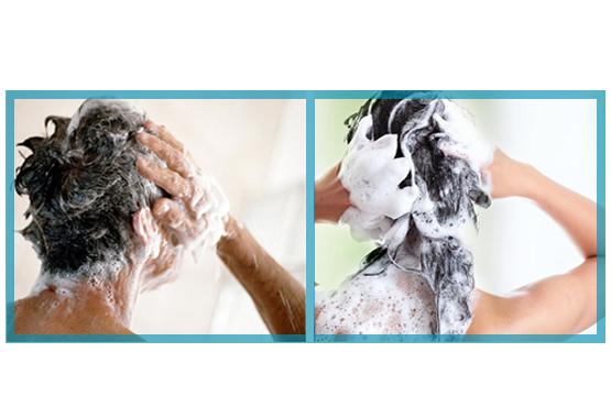 Triple Stem Cell Shampoo