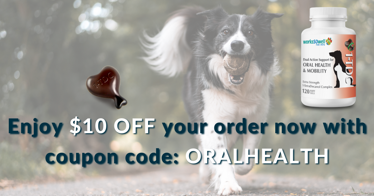 1-TDC Dental Report Card Download