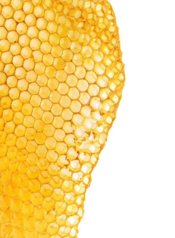 BZB Wholesale About Page