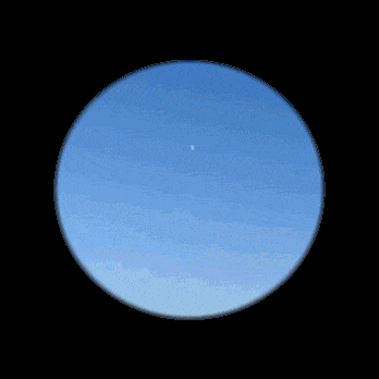 PYTHON-Explorer-10x42 – PYTHON OPTIC