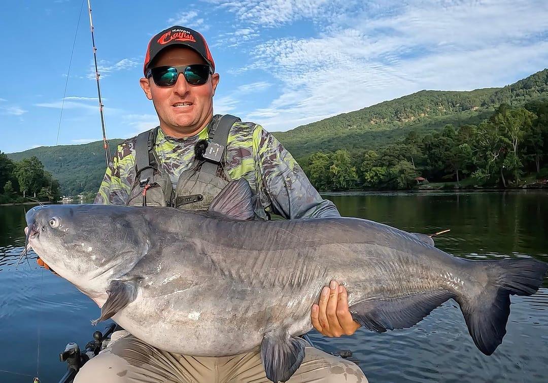 Gift Ideas – Catfish Sumo