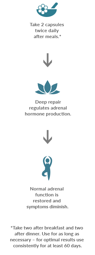 Adaptisol - Herbal Adrenal Support — Women's Health Network