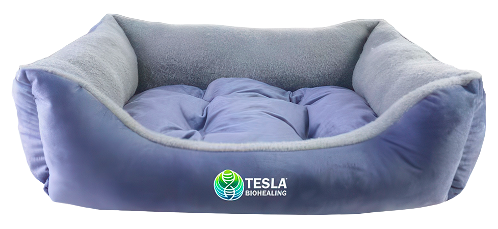 PawRenew Pet Bed – Tesla BioHealing