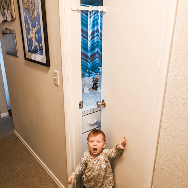 How to Teach your Child to be Kind to Pets – Door Buddy