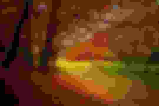 It's Finally Fat Guy Fall! - Big Boy Bamboo