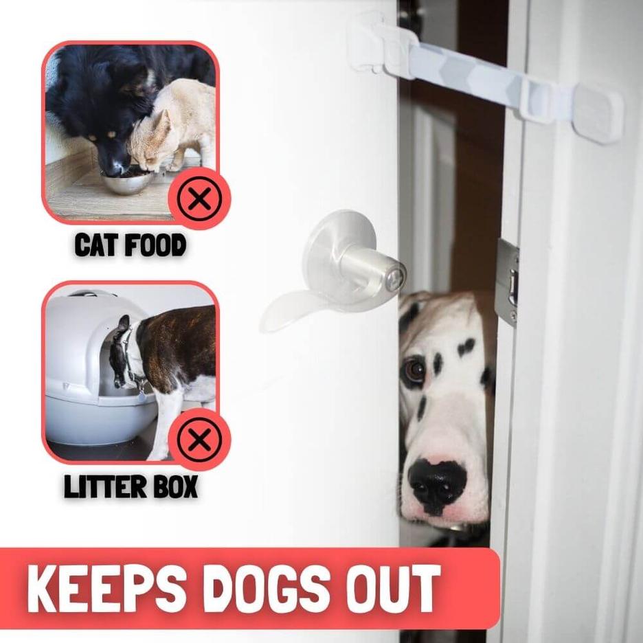 Hold Door Open for Cat and Keep Dog Out. Door Buddy®: Caramel Lattice