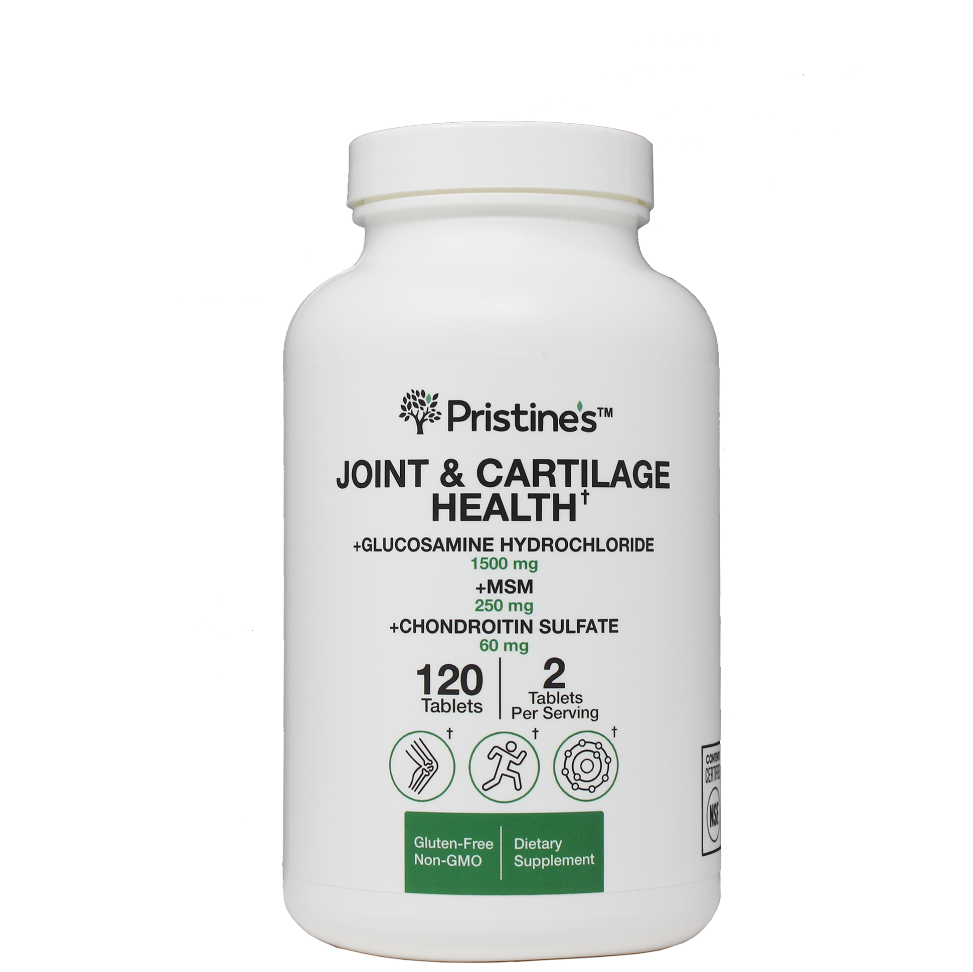 Joint & Cartilage