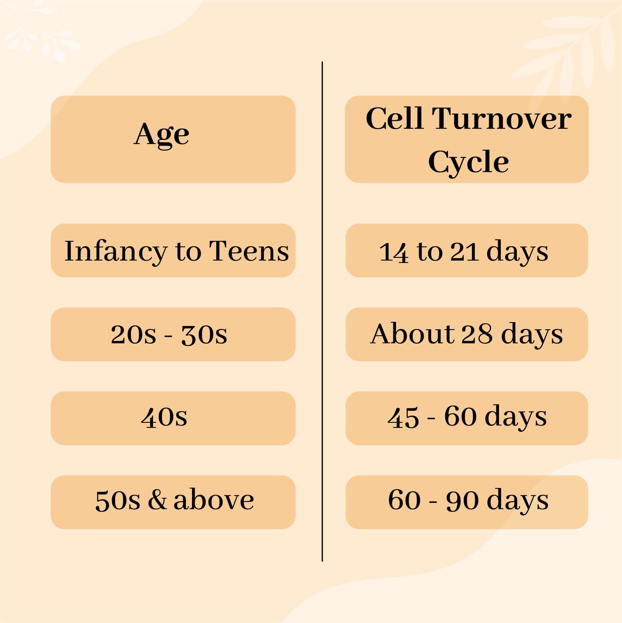 What Is Skin Cell Turnover and Why Is It Important?