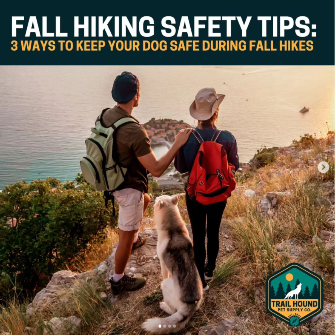 Paws and Preserve: Trail Hound's Dedication to Sustainability and Wild ...