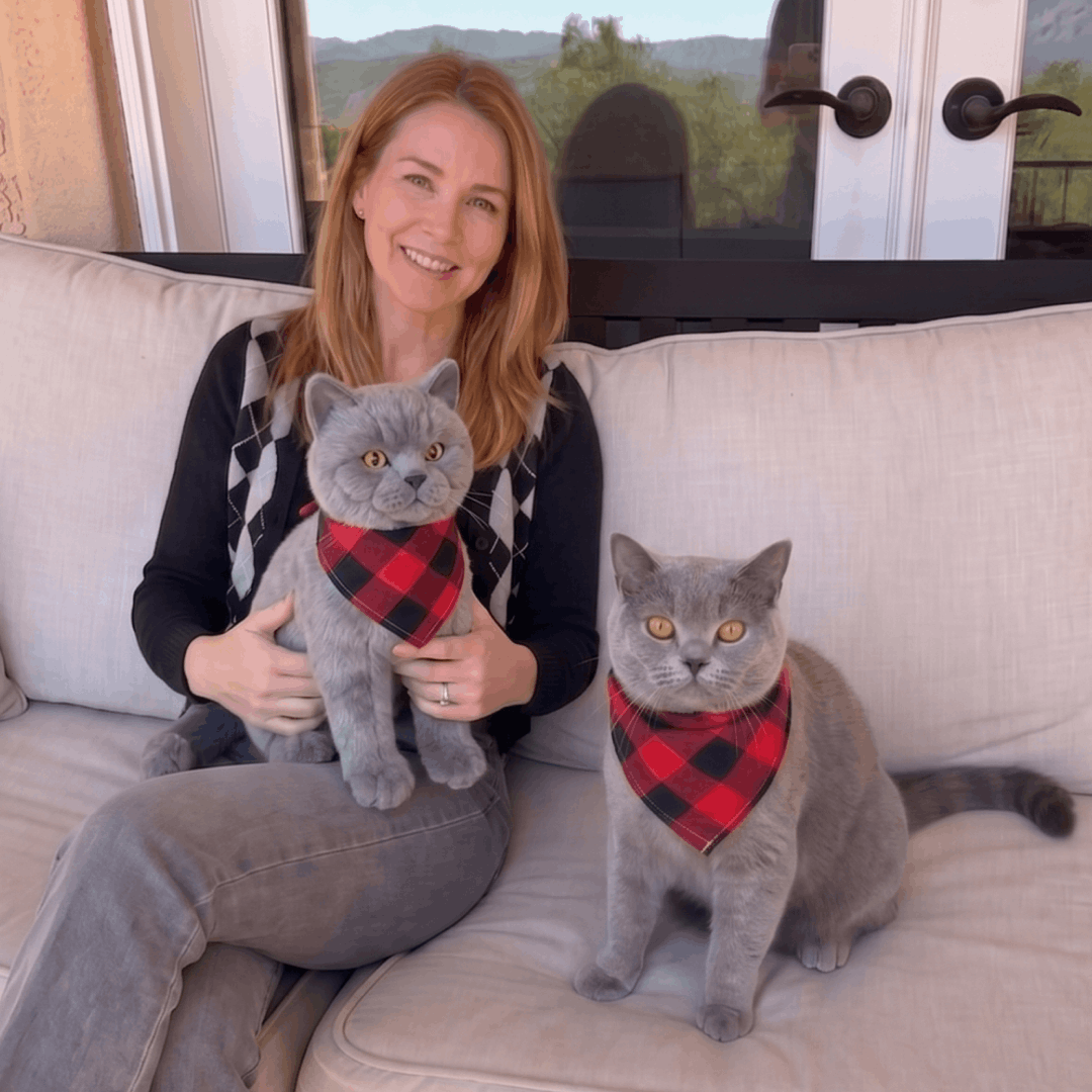 Custom Stuffed Animal of Your Pet | Handmade Plush From Photos