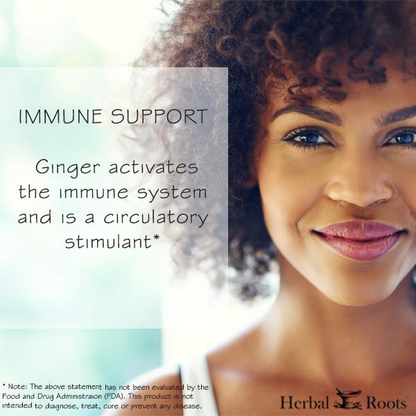 Organic Ginger Capsules 1200 mg - 60 VegCaps - Herbal Roots