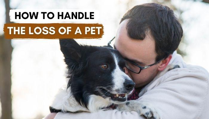 How To Handle The Loss Of A Pet