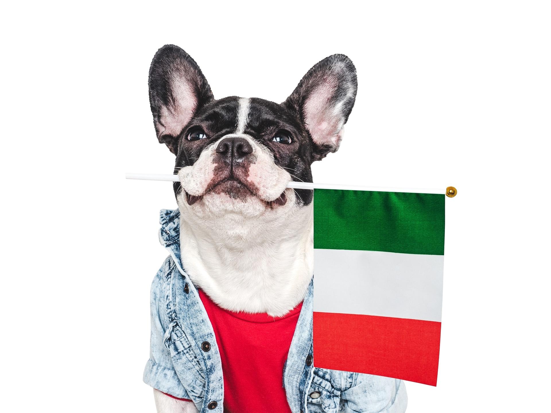 Italian Dog Names: 300+ Best Names for Male & Female Puppies - Potty Buddy™