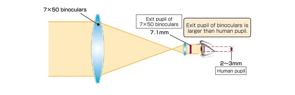 Exit pupil – PYTHON OPTIC