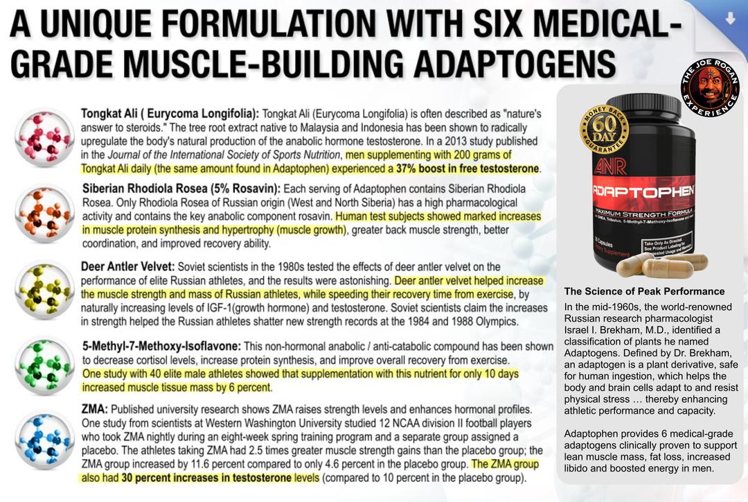 Adaptophen-T-Booster