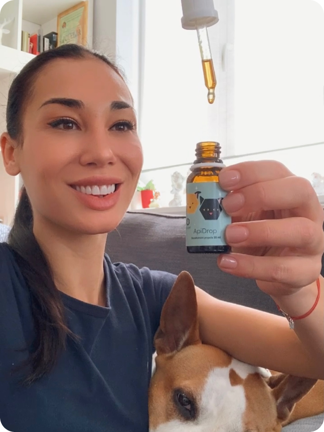 Apipet - Gdje su ljubimci obitelj