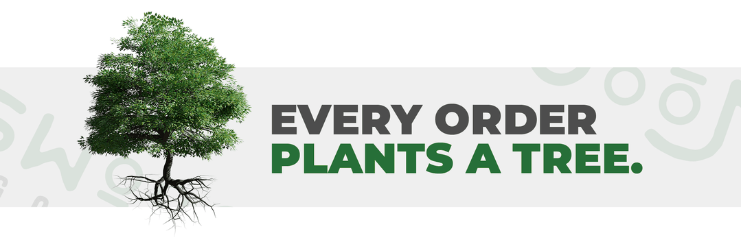 Dittle - Dice Battle | Coffee Table Game